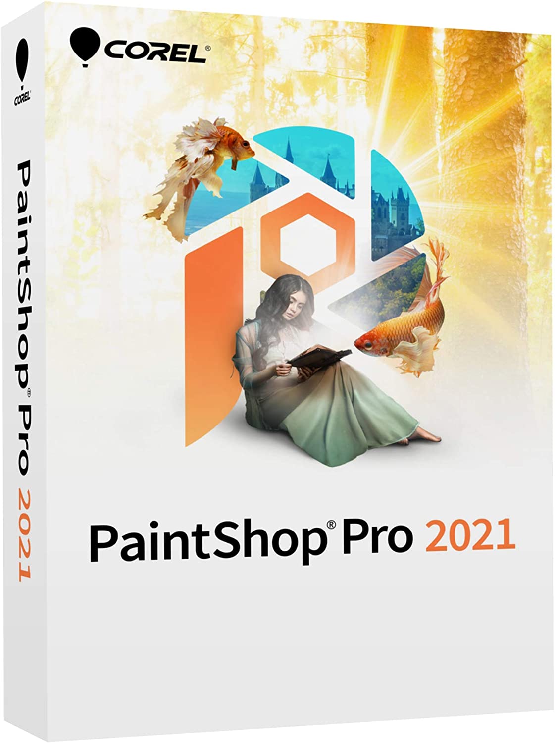 Download CorelDRAW Corel Paint Shop Pro 2021 full Chi Tiết (link google ...